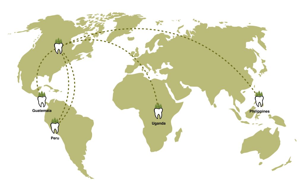 Doctors Without Borders - Evergreen Dental Centre